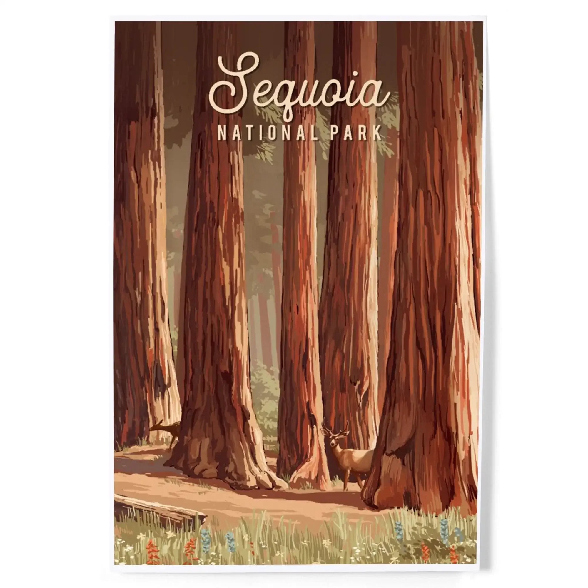 Sequoia National Park, California, Painterly National Park Series art ...