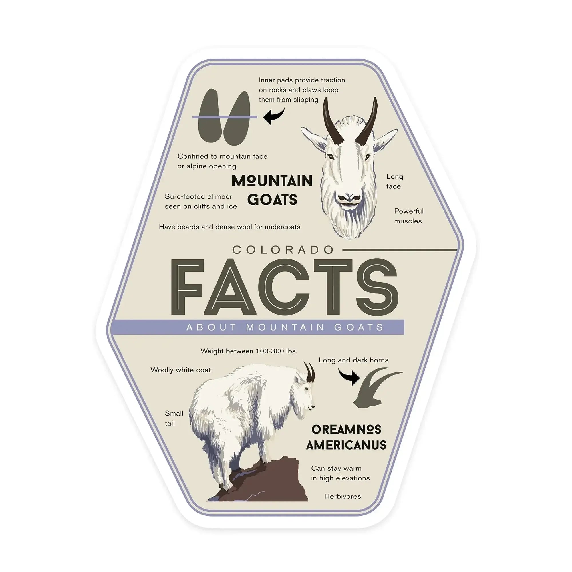 Colorado, Facts About Mountain Goats, Contour, outdoor vinyl stickers ...