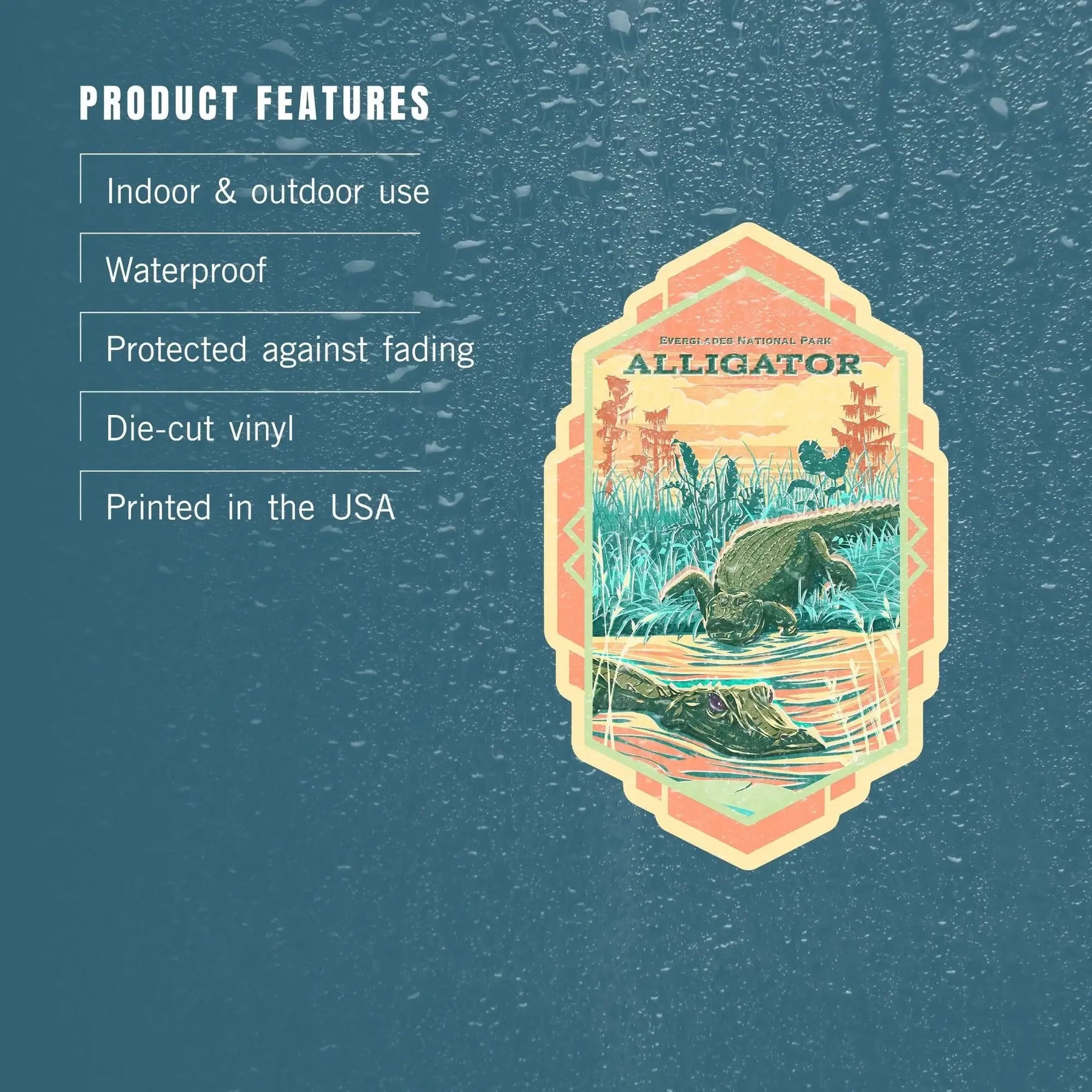 Everglades National Park, FL, Alligator Vintage Print Press, outdoor ...