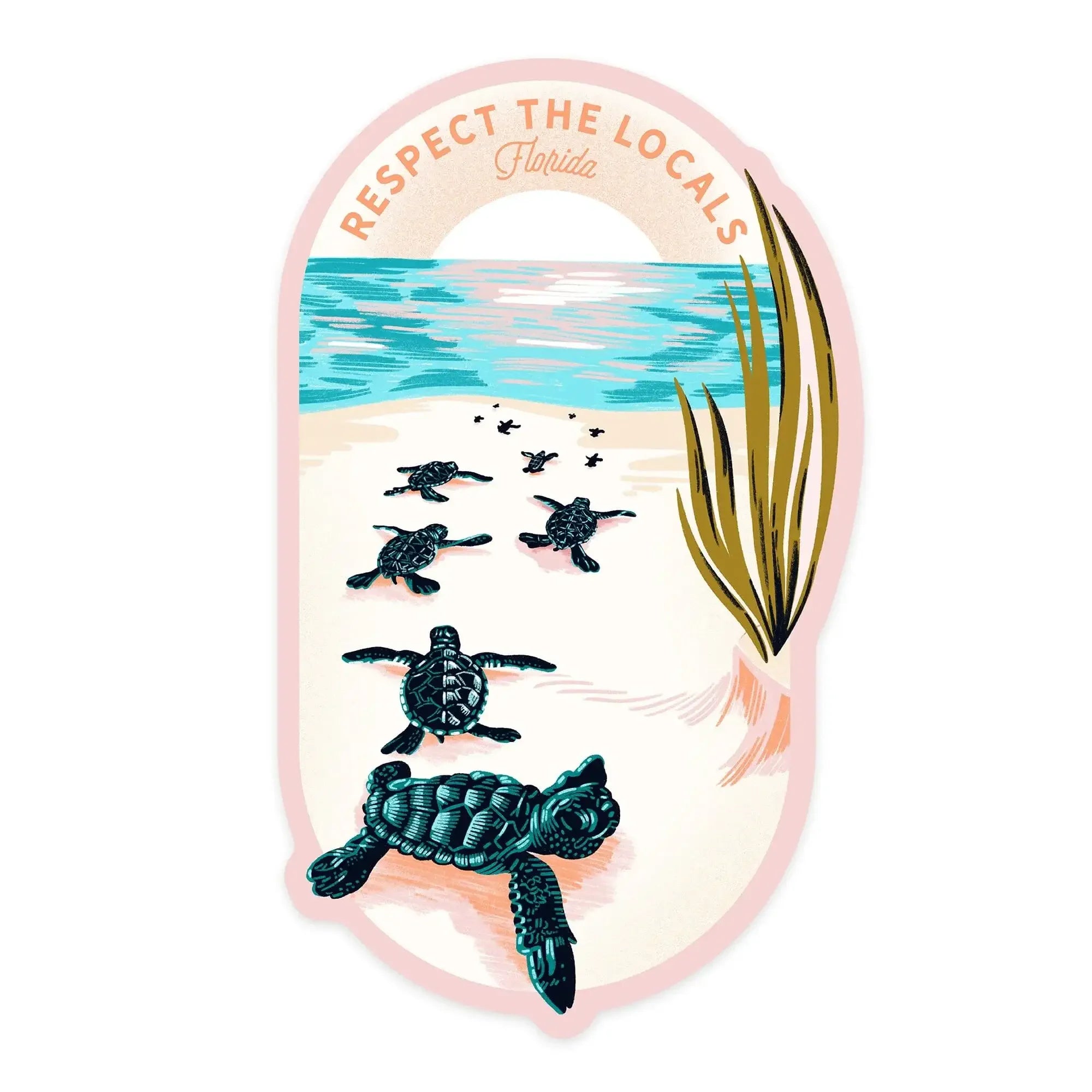 Florida, Courageous Explorer Collection, Turtle, Respect the Locals ...