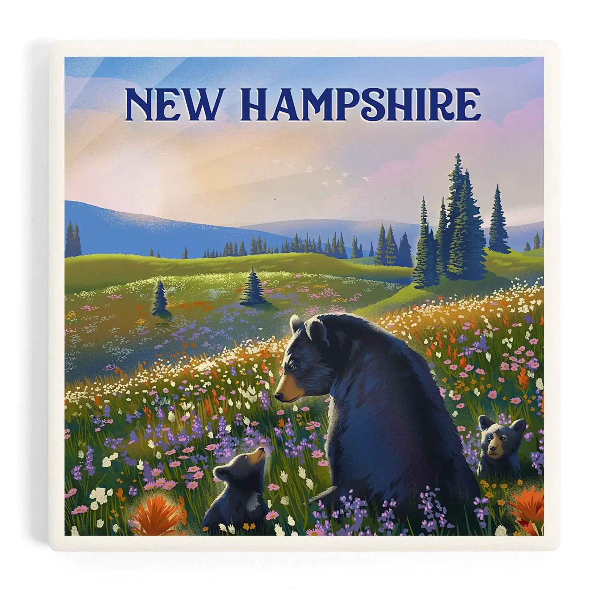 New Hampshire, Lithograph, Bear Family in Field ceramic coaster set ...