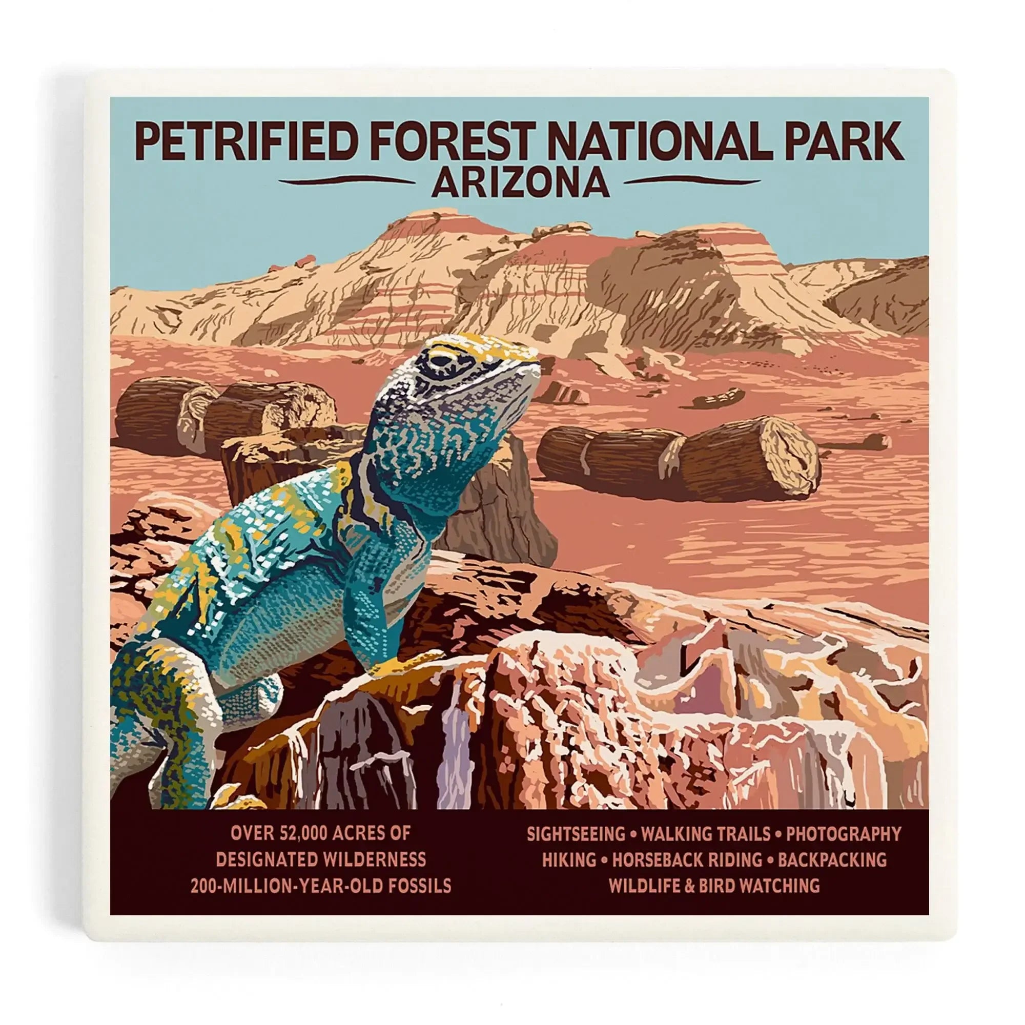 Petrified Forest National Park, Arizona ceramic coaster set – Lantern Press