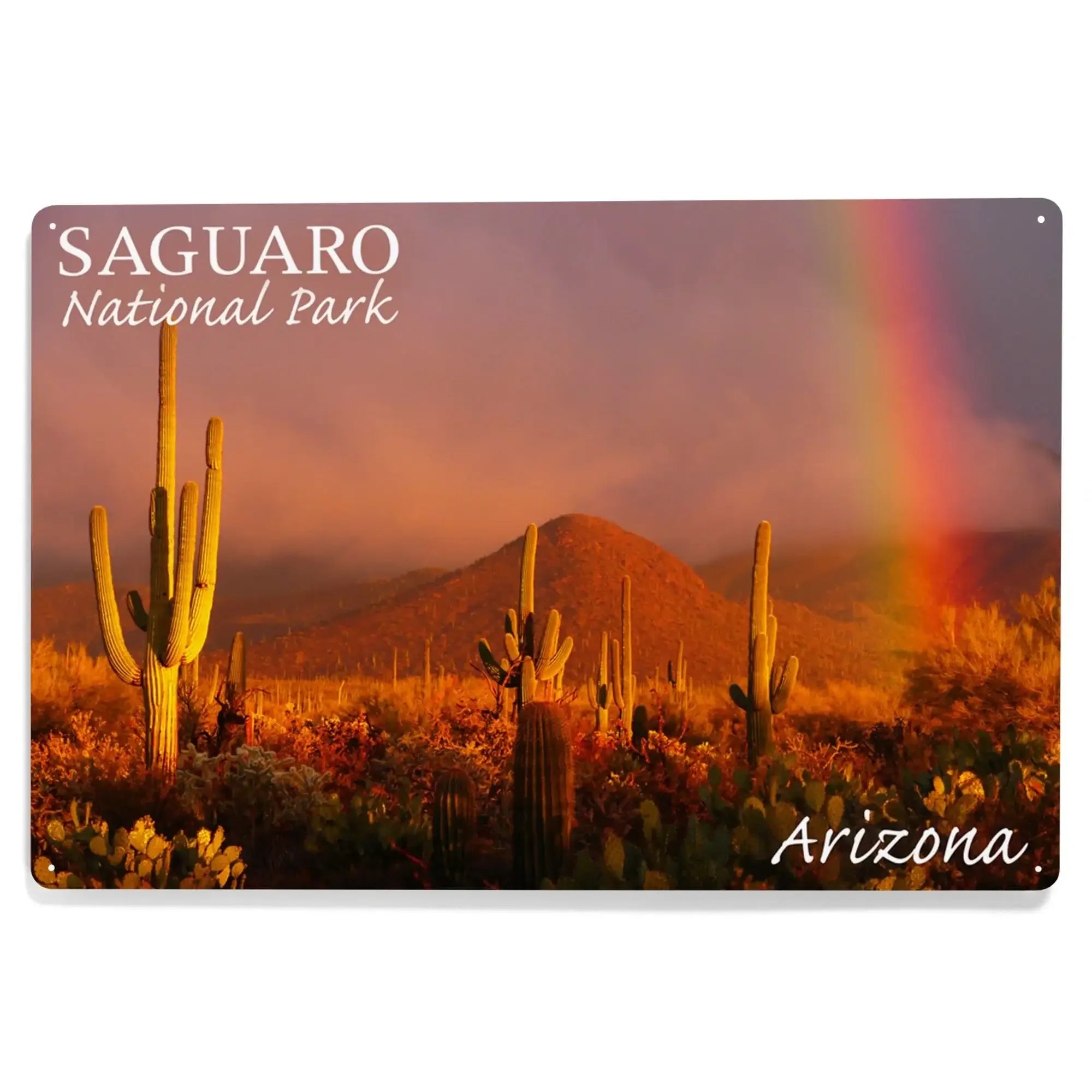 Saguaro National Park, Arizona, Rainbow metal signs – Lantern Press
