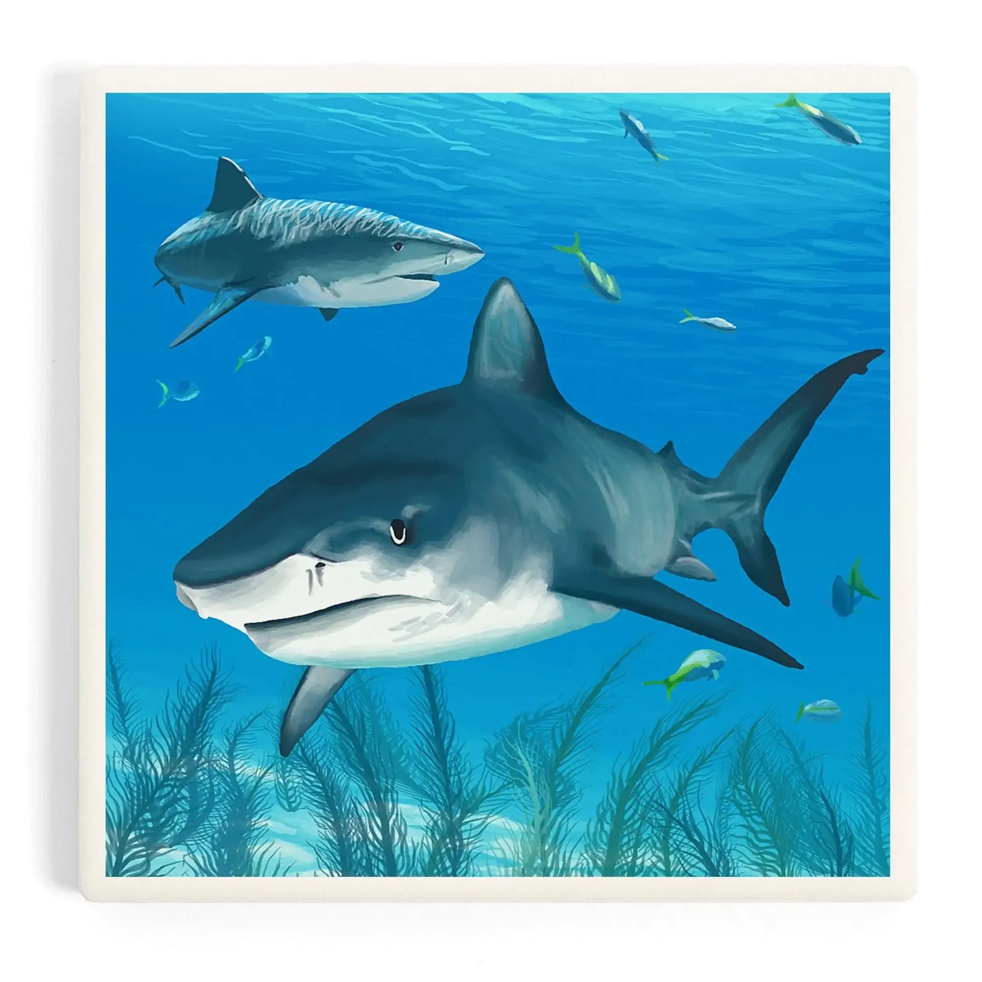 Tiger Shark ceramic coaster set – Lantern Press