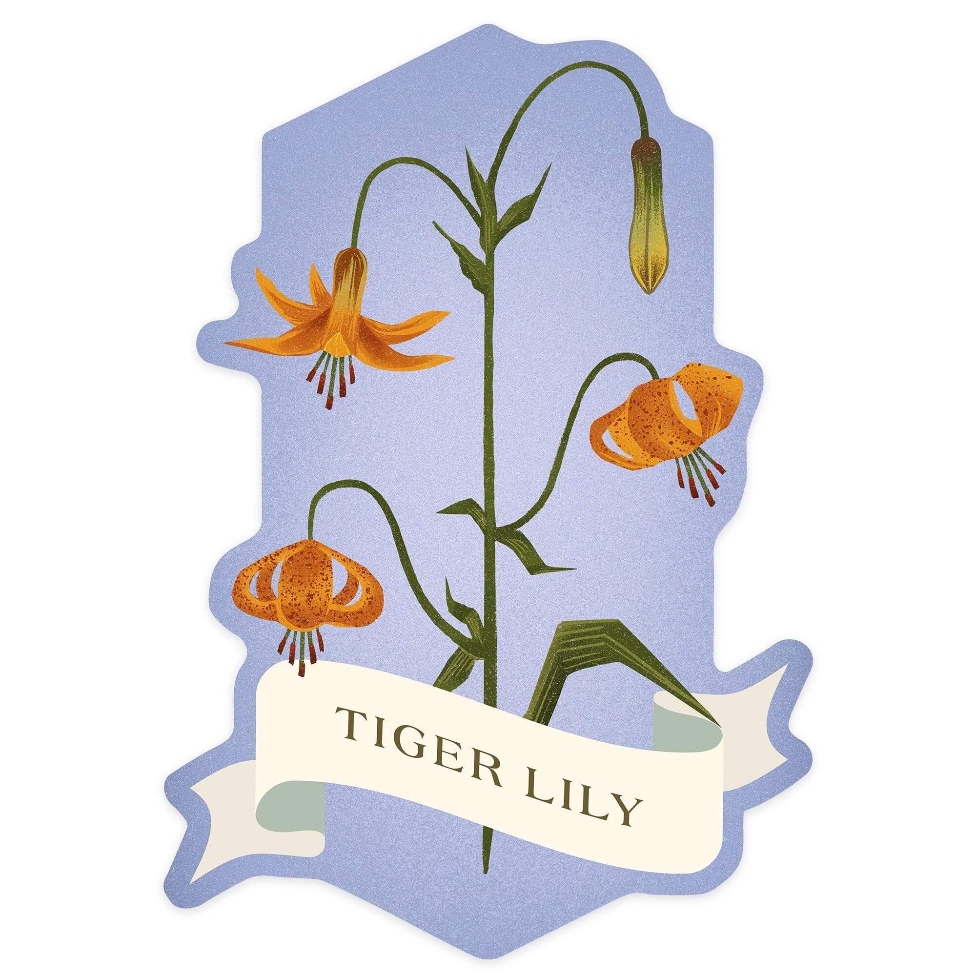 Vintage Flora, Tiger Lily, Contour, outdoor vinyl stickers – Lantern Press