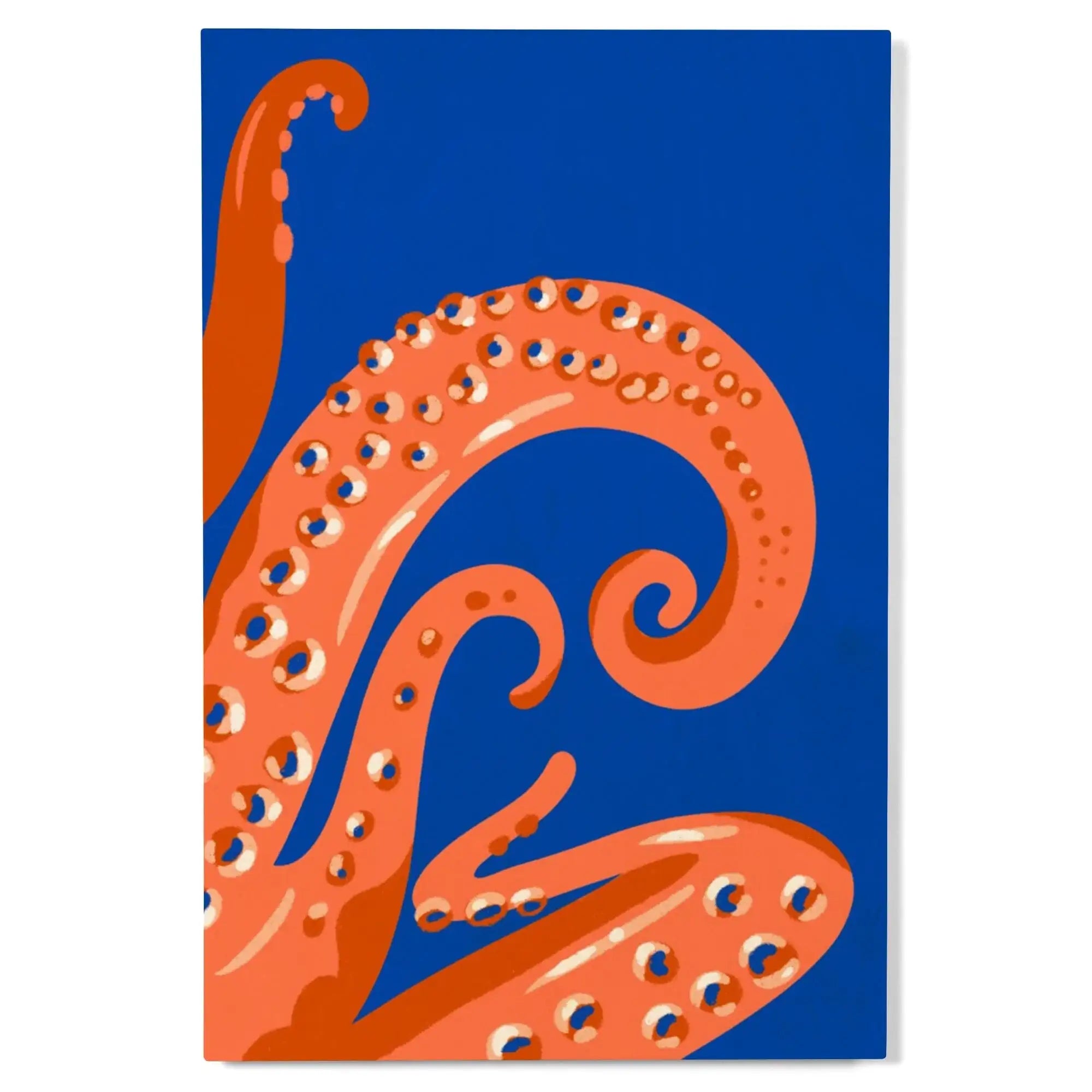 Lush Environment Collection, Octopus Tentacles, Wood Signs and Postcar ...